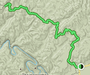 Cooper Road Trail: 44 Reviews, Map - Tennessee | AllTrails