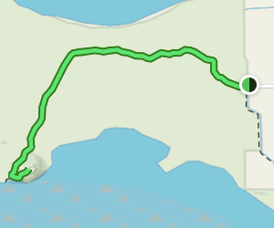 Craft Island Trail from Rawlins Road - Washington | AllTrails