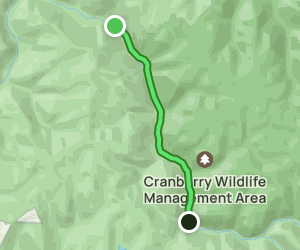 Cranberry River Road: 18 Reviews, Map - West Virginia | AllTrails