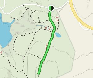 Lake Taghkanic State Park Fitness Trail: 11 Reviews, Map - New York ...