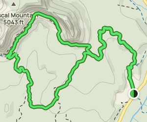 Mescal, Yucca Loop: 279 Reviews, Map - Arizona | AllTrails