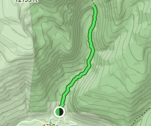 Booth Falls: 4791 Reviews, Map - Colorado | AllTrails