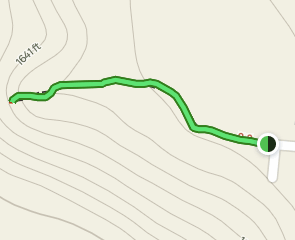 Welch's Point, Tennessee - 130 Reviews, Map | AllTrails