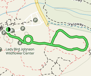 Lady Bird Johnson Arboretum Trail: 77 Reviews, Map - Texas | AllTrails