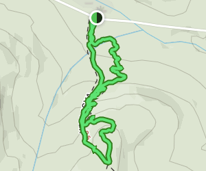 Vast Trail Loop: 36 Reviews, Map - Vermont | AllTrails