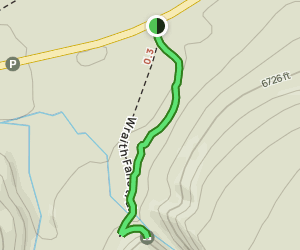 Wraith Falls: 467 Reviews, Map - Montana | AllTrails