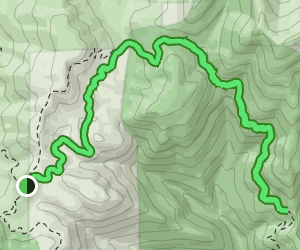 W. Fork Panther Ridge Trail: 7 Reviews, Map - Oregon | AllTrails