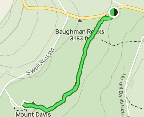 Mount Davis Highpoint Trail, Pennsylvania - 281 Reviews, Map | AllTrails