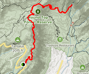 Manoa Cliff Trail to Manoa Falls - Oahu, Hawaii | AllTrails
