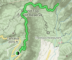 Manoa Cliff Trail to Manoa Falls - Oahu, Hawaii | AllTrails