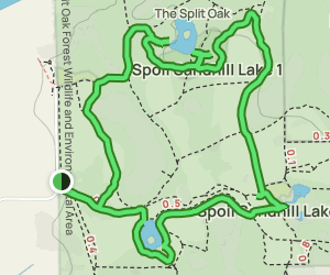 Three Lakes Loop: 220 Reviews, Map - Florida | AllTrails