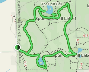 Three Lakes Loop, Florida - 226 Reviews, Map | AllTrails