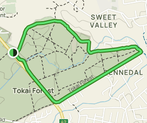 Tokai Forest Walk: 174 Reviews, Map - Western Cape, South Africa ...