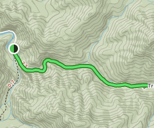 Lynn Camp Via Middle Prong Trail: 701 Reviews, Map - Tennessee | AllTrails