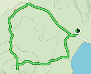 Tooley Pond Mountain Trail Loop, New York - 53 Reviews, Map | AllTrails
