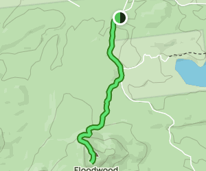 Floodwood Mountain Trail: 200 Reviews, Map - New York | AllTrails