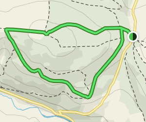 Knockanroe Woods | Coill an Chnocáin Rua: 173 Fotos - County Tipperary ...