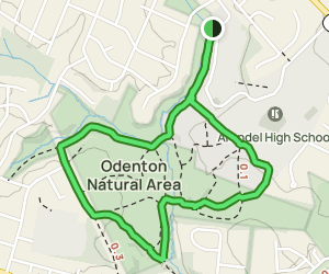 Odenton Natural Area Walk: 228 Reviews, Map - Maryland | AllTrails