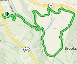 The Windham Path: 432 Reviews, Map - New York | AllTrails