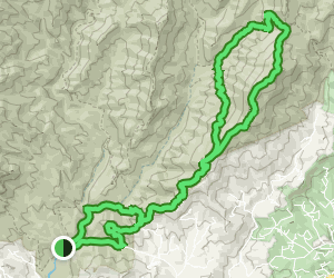 Thomas Divide and Indian Creek Motor Trail Loop: 26 Reviews, Map ...