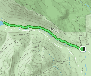 Cooper River Trail: 269 Reviews, Map - Washington | AllTrails