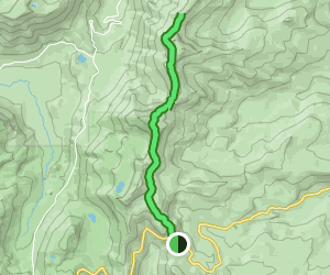 Strawberry Mountain Trail: 56 Reviews, Map - Washington | AllTrails