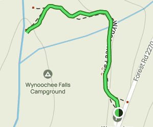 Wynoochee Falls Trail: 52 fotos - Washington | AllTrails