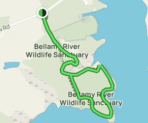 Clement's Point Trail: 107 Reviews, Map - New Hampshire | AllTrails