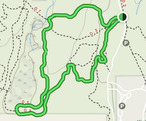 Newberry Hill Loop | Map, Guide - Washington | AllTrails
