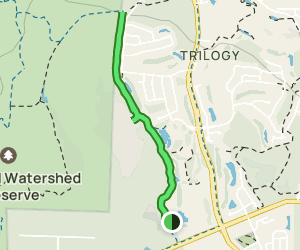 Kari’s Bog Trail: 156 Reviews, Map - Washington | AllTrails