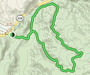 Wilson Canyon Trail: 95 Reviews, Map - Nevada | AllTrails