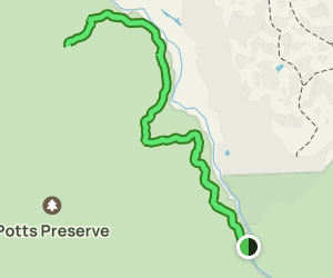 Pott's Preserve via Florida Trail: 47 Reviews, Map - Florida | AllTrails