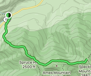 Speckled Mountain via Spruce Hill and Bickford Brook Trails: 109 ...