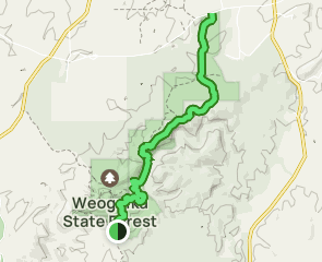 Pinhoti Trail: Southern Terminus to Coosa County 56, Alabama - 96 ...