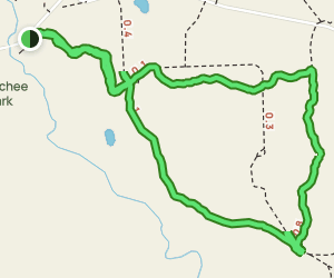 Green Swamp West Loop: 150 Reviews, Map - Florida | AllTrails