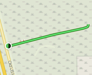 Maurepas Swamp WMA Nature Trail, Louisiana - 20 Reviews, Map | AllTrails