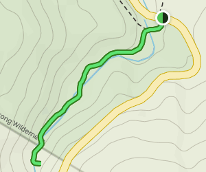 Lower Bubbling Spring and Branch Falls: 34 Reviews, Map - North ...