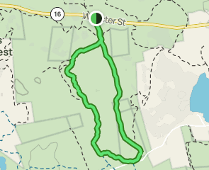 Midstate and Schmidt Trail Loop, Massachusetts - 149 Reviews, Map ...