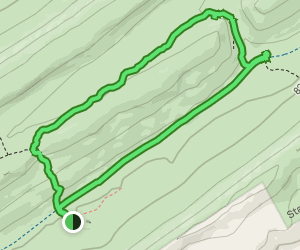 AllTrails | Cold Spring Rausch Gap Loop: 227 Reviews, Map - Pennsylvania