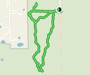 Brooker Creek Preserve Friends Trail: 42 Reviews, Map - Florida | AllTrails