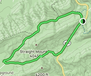 Iron Mountain to Old Bear Tree Campground Loop: 11 Reviews, Map ...