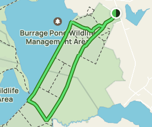 Burrage Pond WMA Loop: 644 Reviews, Map - Massachusetts | AllTrails
