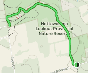 Nottawasaga Lookout: 447 Reviews, Map - Ontario, Canada | AllTrails