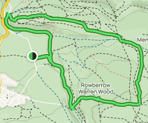 Rowberrow Warren Wood and Dolebury Hill Fort Circular - Somerset ...