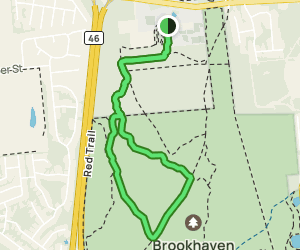 Brookhaven Trail: 66 Reviews, Map - New York | AllTrails