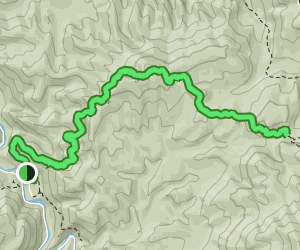Lumber Ridge Trail: 183 Reviews, Map - Tennessee | AllTrails
