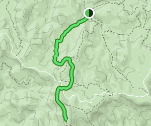 Three Forks and Springer Mountain : 2.285 foto's - Georgia | AllTrails
