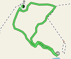 Shell Bluff Loop: 19 Reviews, Map - Florida | AllTrails