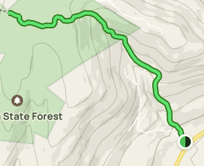 Patria Forest Long Path, New York - 41 Reviews, Map | AllTrails