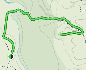 Luzerne Boardwalk, Michigan - 61 Reviews, Map | AllTrails